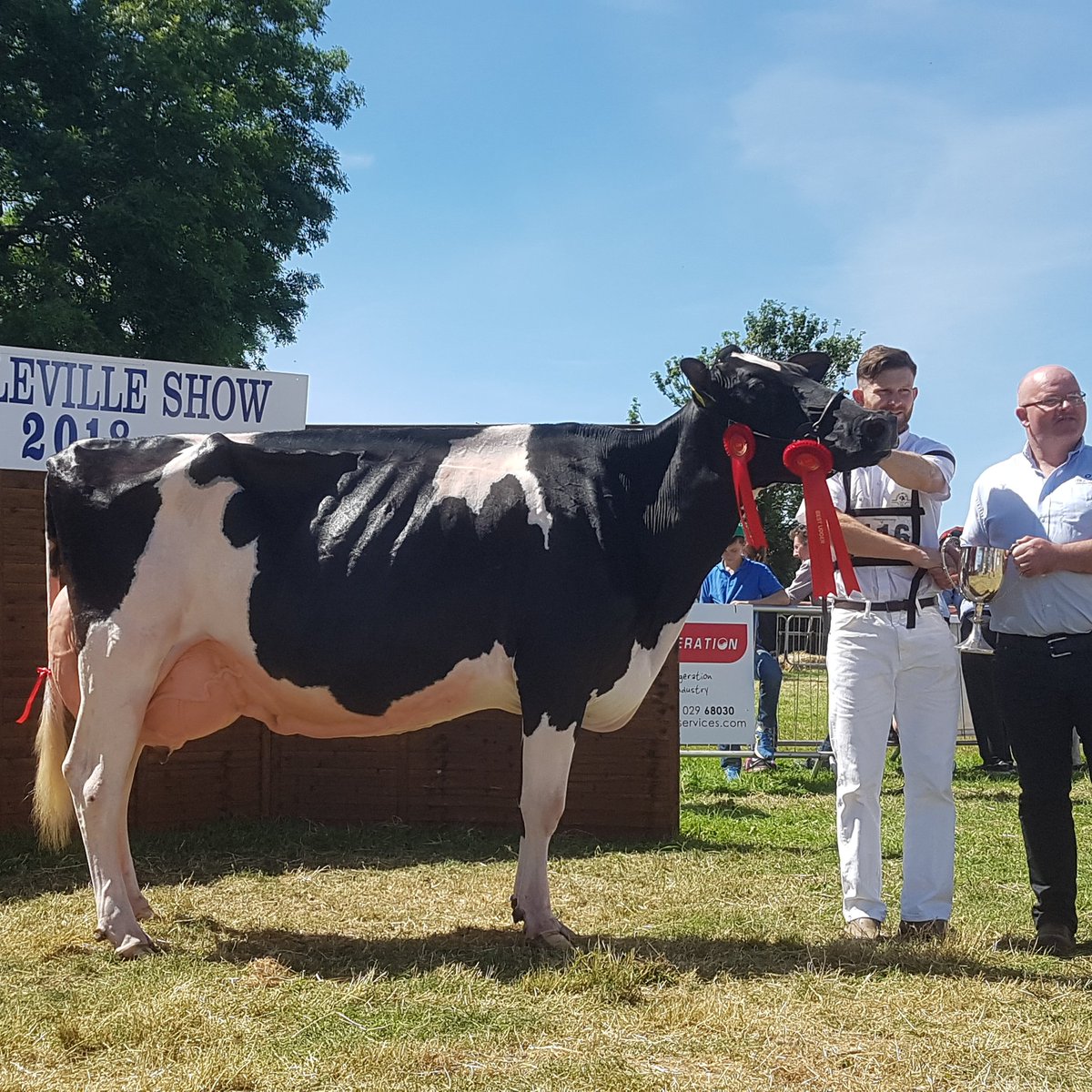 Charleville Show 2018 – Rhapsody Crowned Overall Champion – Emerald ...